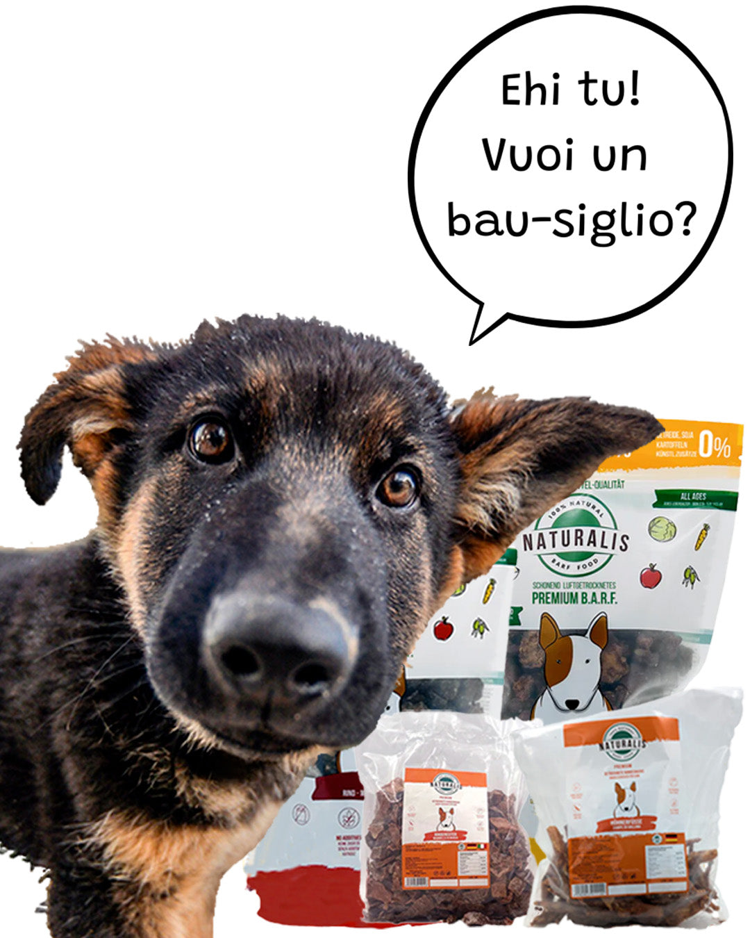 La migliore barf per il tuo amico a quattro zampe