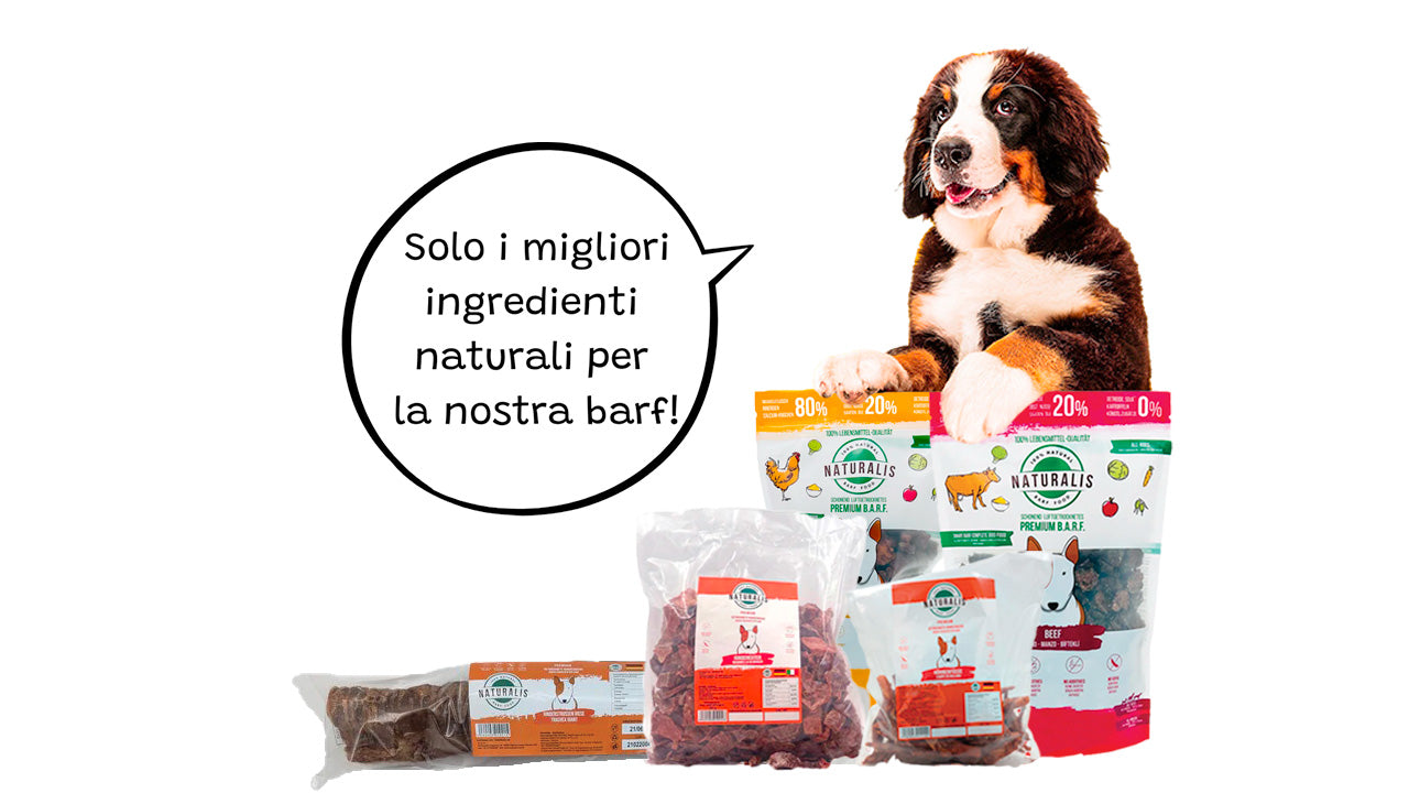 La migliore barf per il tuo amico a quattro zampe